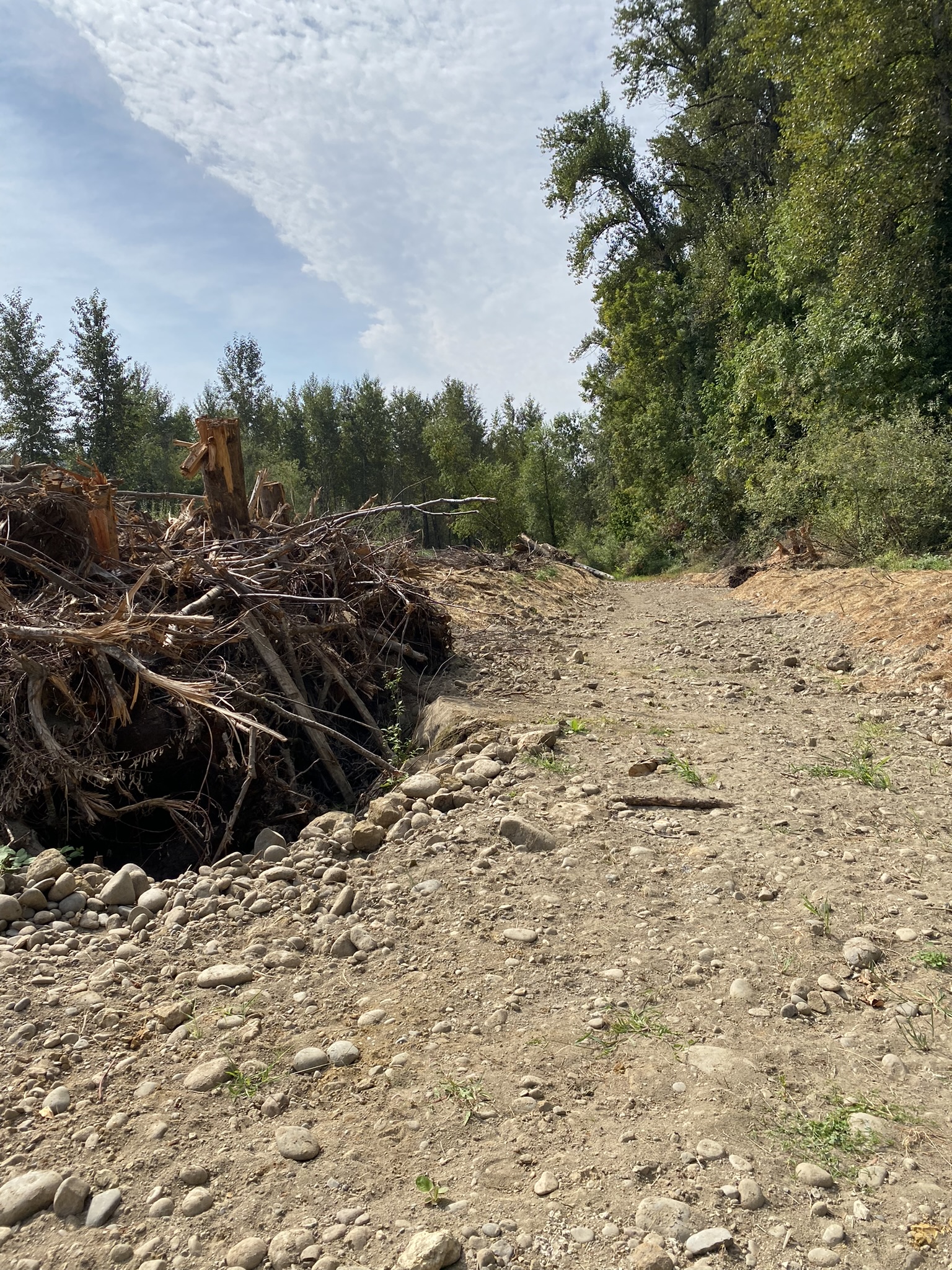 Sieben Riverbend Restoration Project - Construction Complete ...