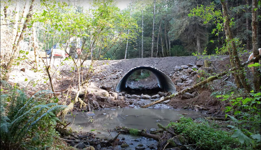 Little Eagle Creek Culvert Removal | Clackamas River Basin Council